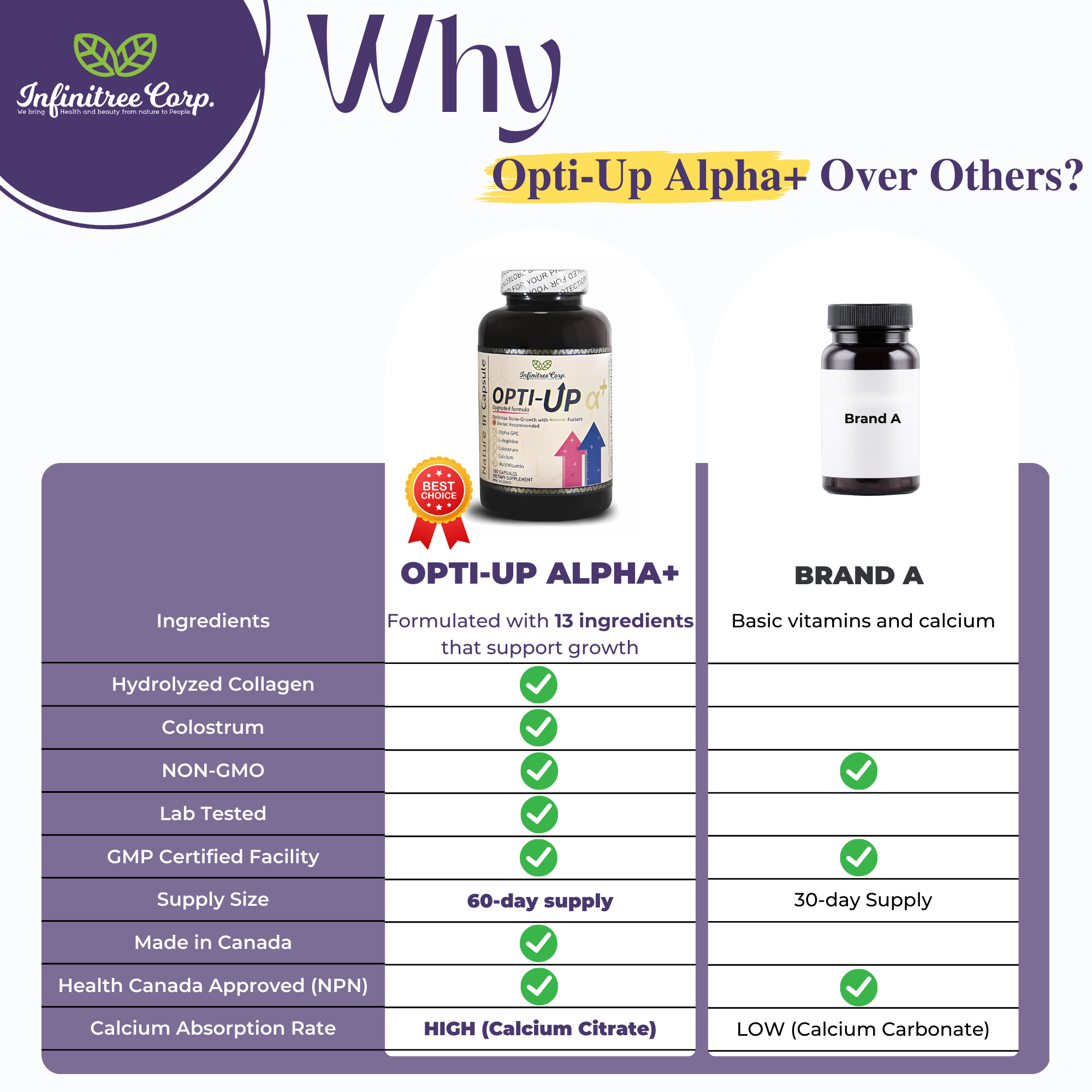 Opti-Up Growth Journey | INFINITREE Corp.